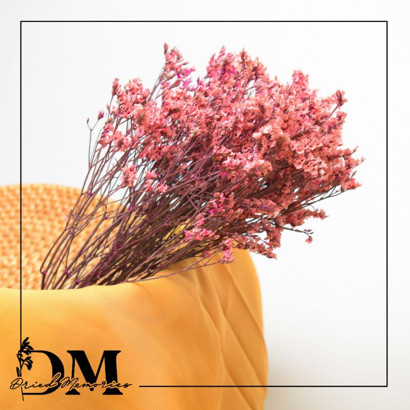 Dried Caspia (2-3 stems) Preserved Real Misty Flower Gift Wedding Part ...